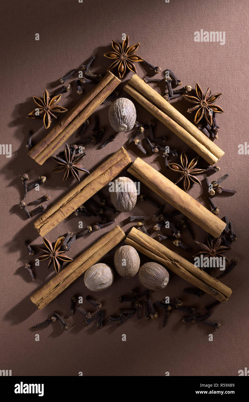 Various winter spices on a brown background in shape of Christmas tree ...