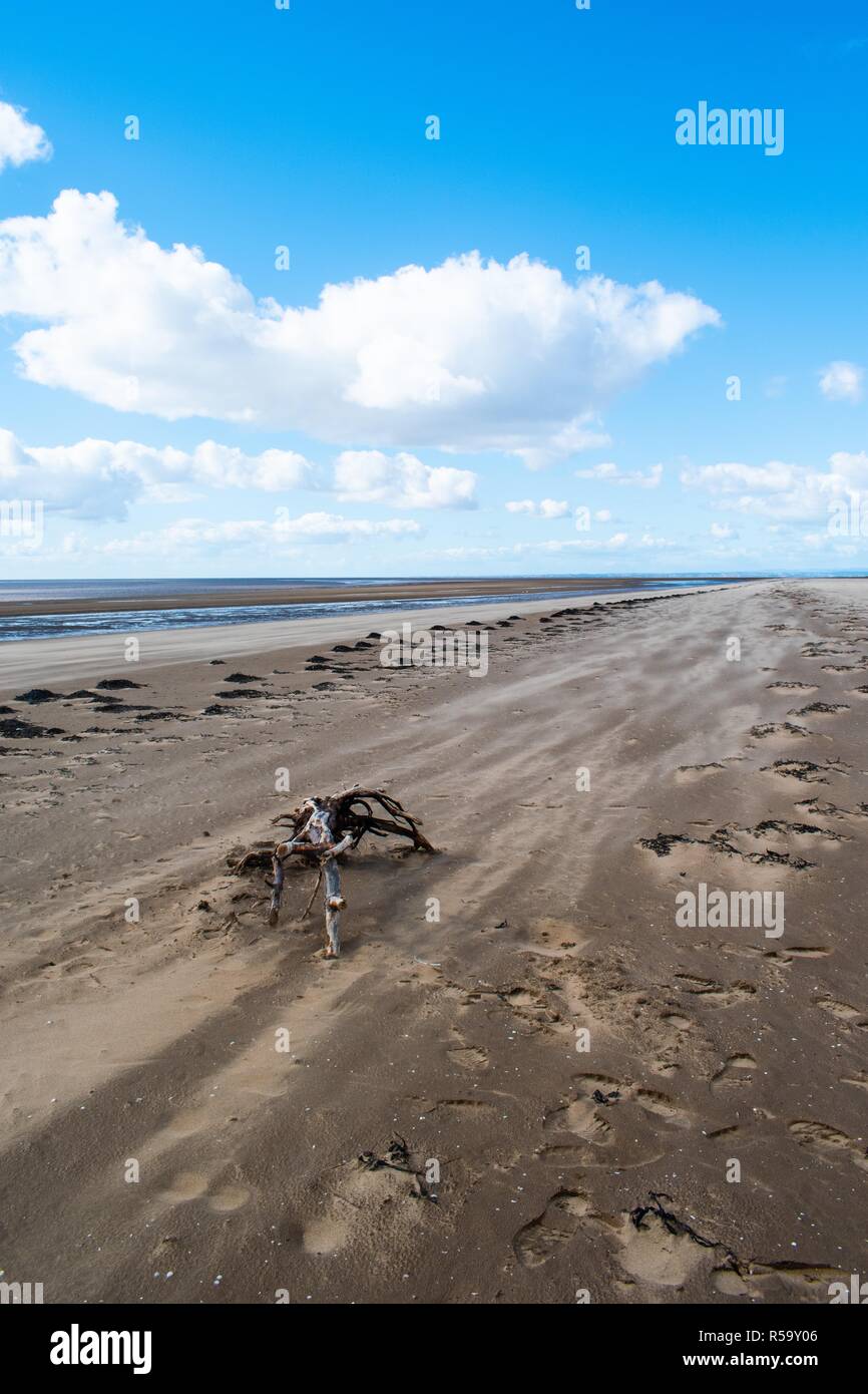 Wind swept beach Burnham on Sea Stock Photo - Alamy