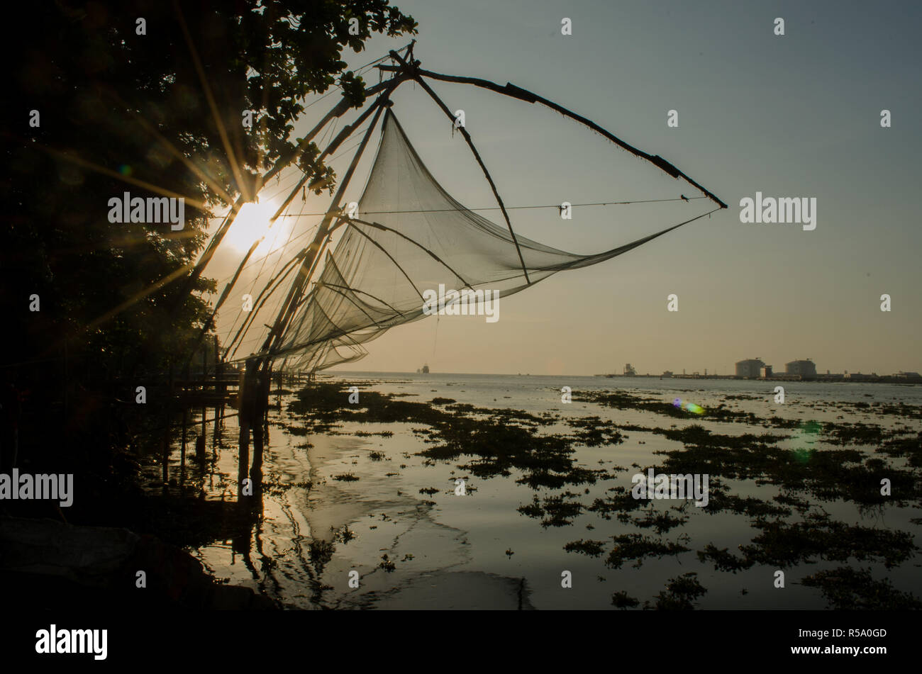 Net catching fish in sunset Stock Photo - Alamy