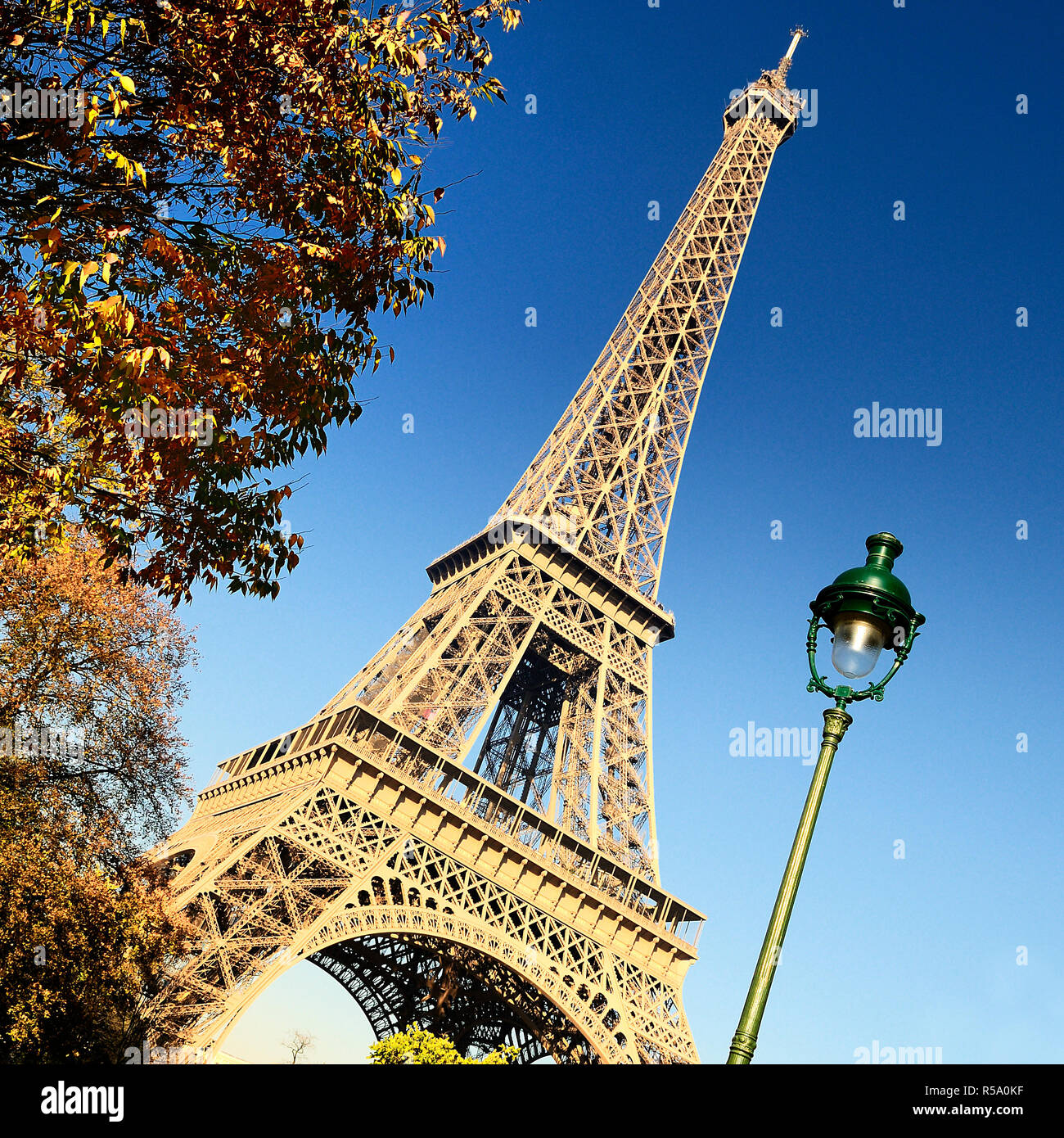 famous Eiffel Tower and trees in Paris Stock Photo - Alamy famous Eiffel Tower and trees in Paris Stock Photo - Alamy