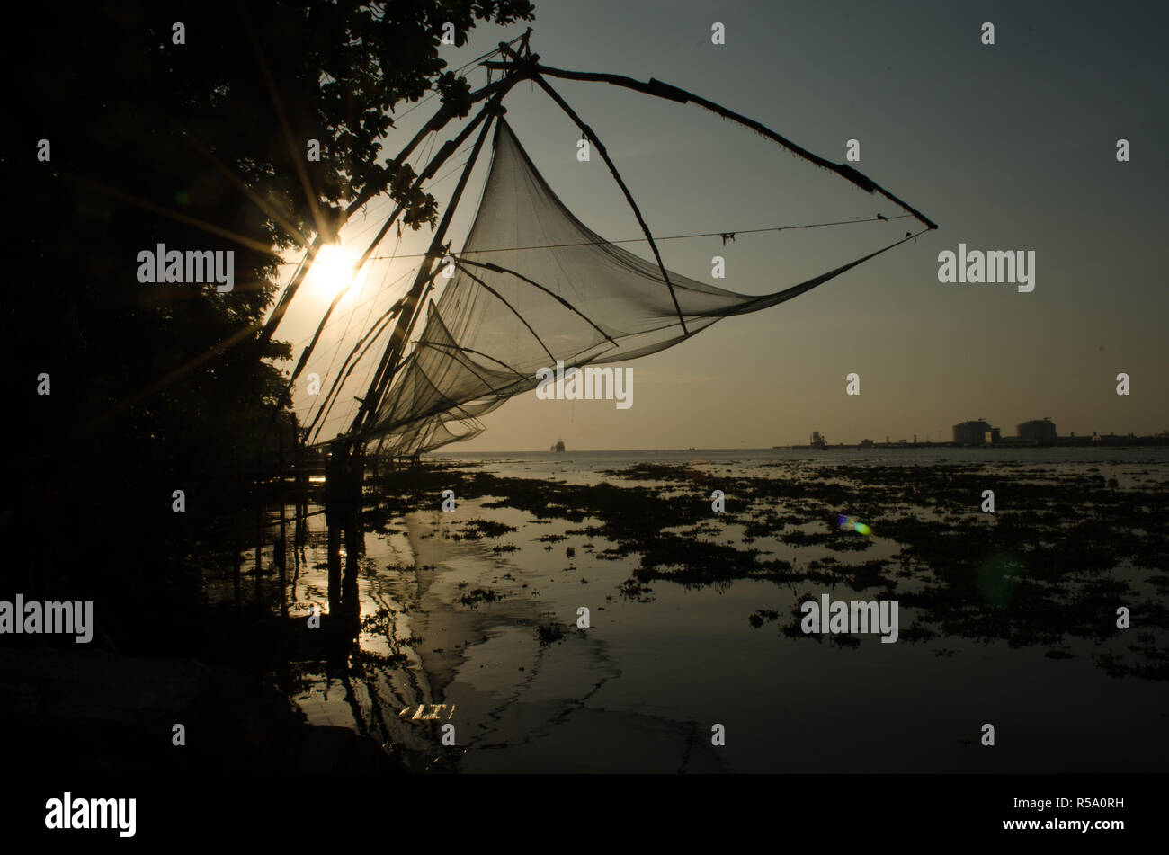 Catching sun fish hi-res stock photography and images - Alamy