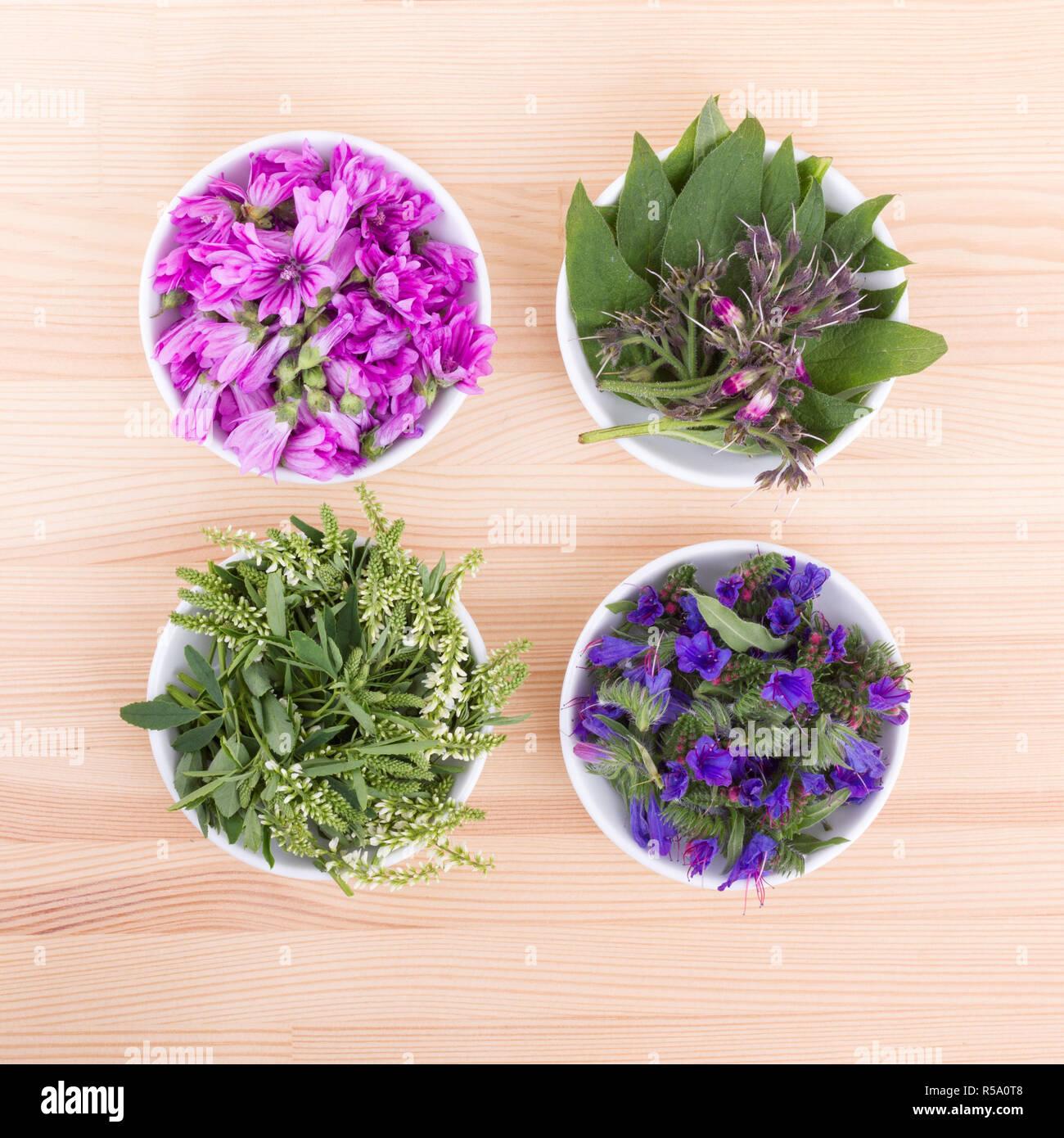 Hollyhock tea hi-res stock photography and images - Alamy