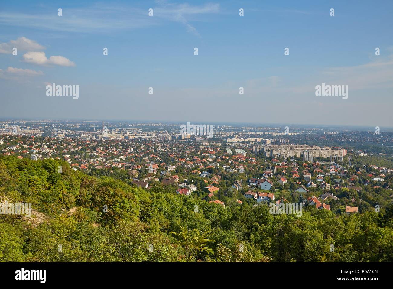 Suburbs with summer green views Stock Photo - Alamy