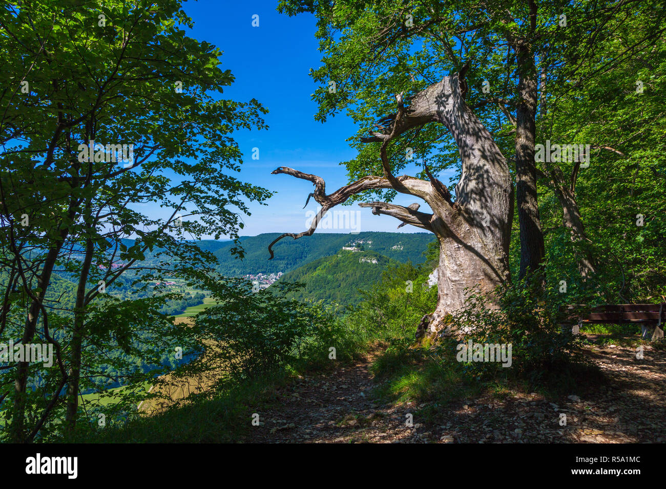 Albrand hi-res stock photography and images - Alamy