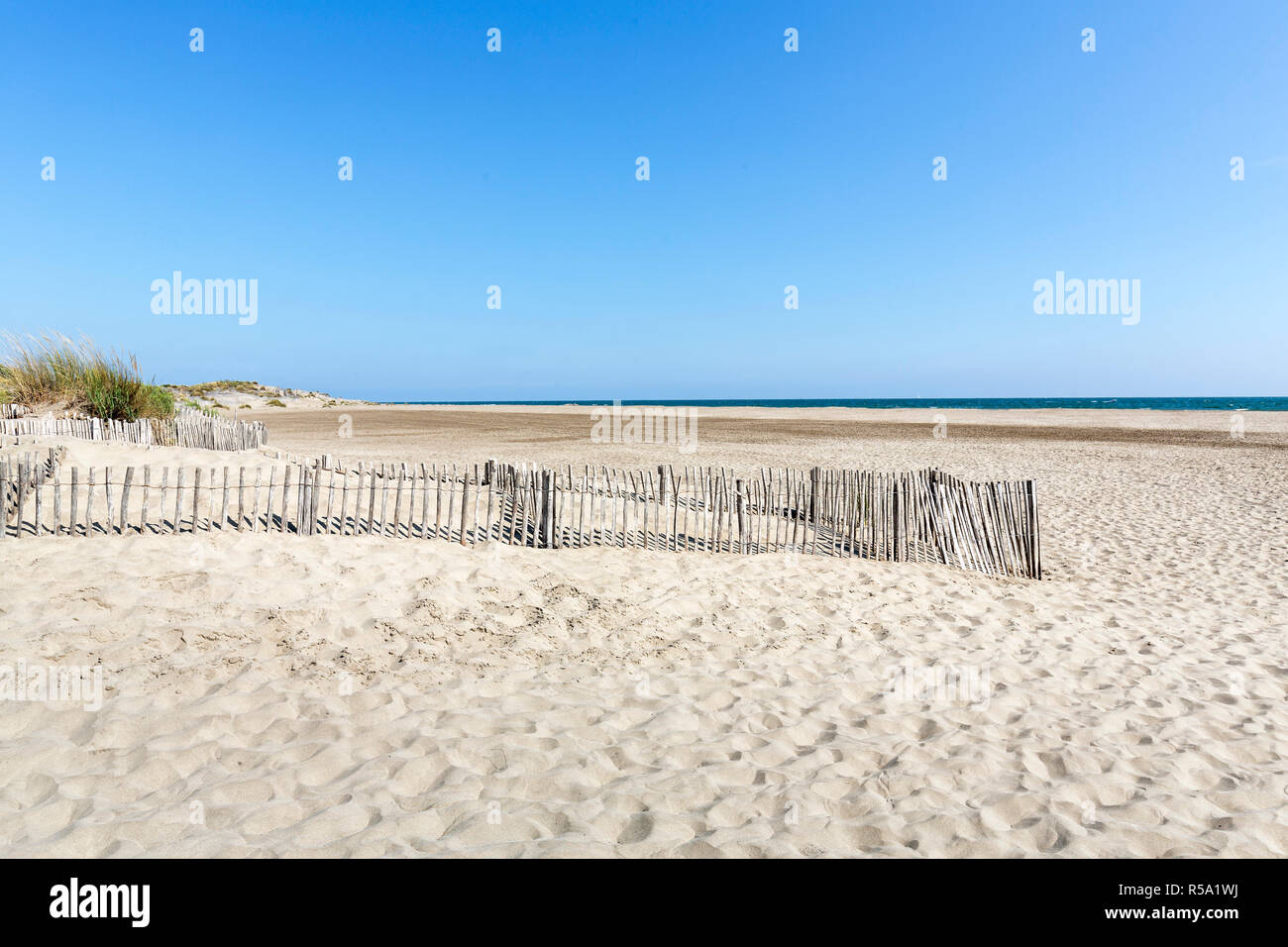 dune landscape on the beach l'espiguette in the camargue,southern ...