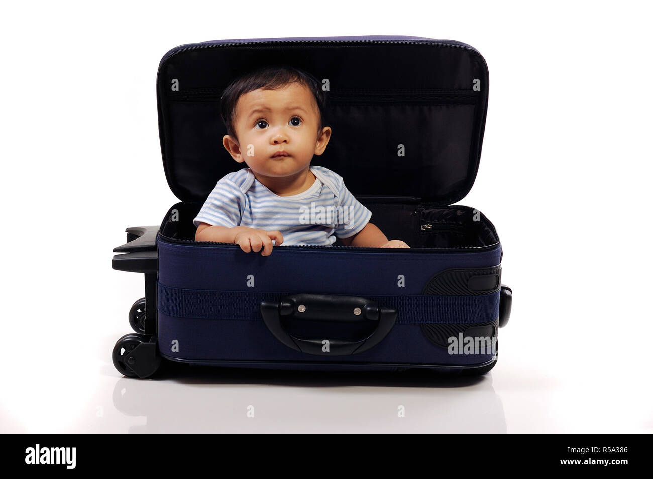 Baby in the Suitcase Stock Photo - Alamy