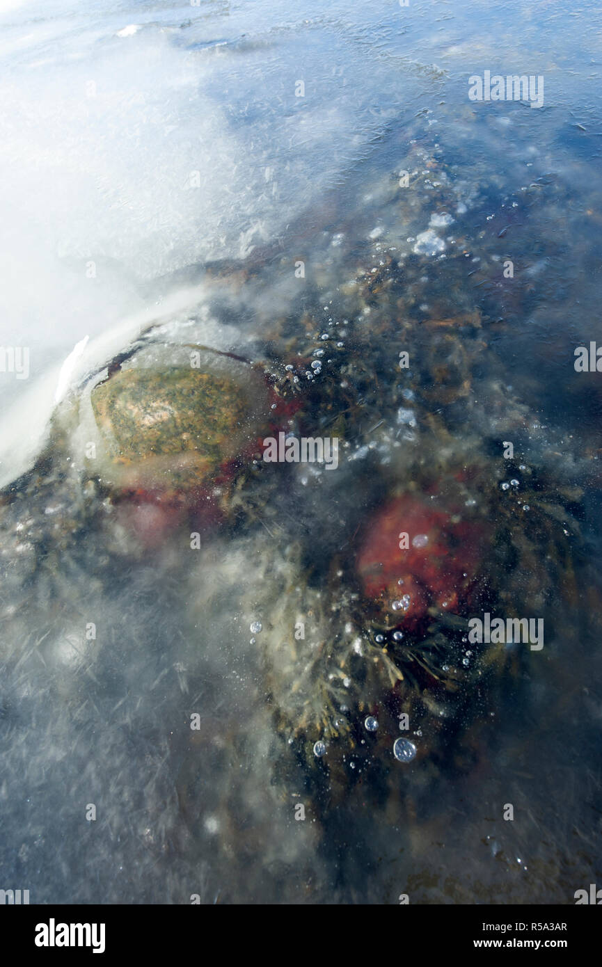 Winter is the coldest season of the year in polar and temperate zones ...