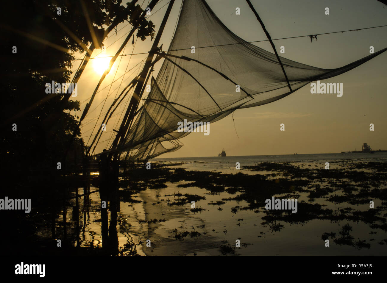 Wallpaper of fishing hi-res stock photography and images - Alamy