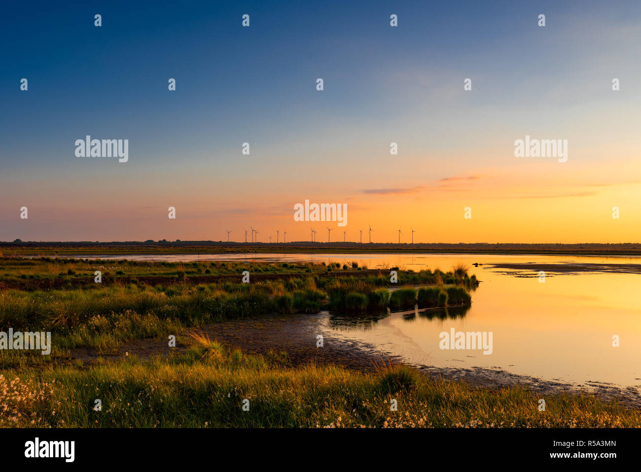 north german moor area Stock Photo - Alamy