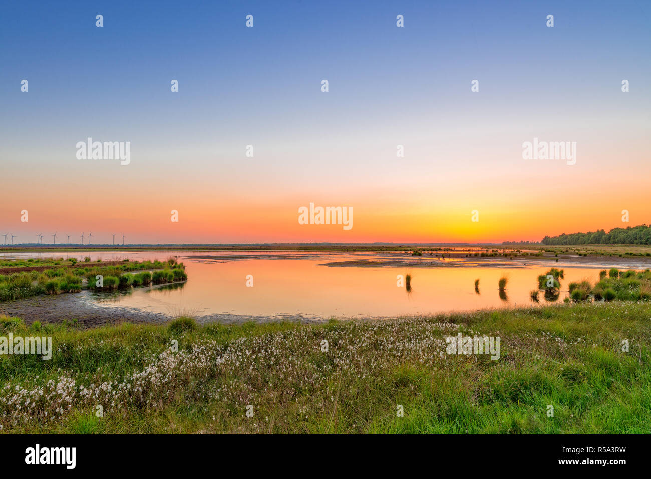 Moor gebiet hi-res stock photography and images - Alamy