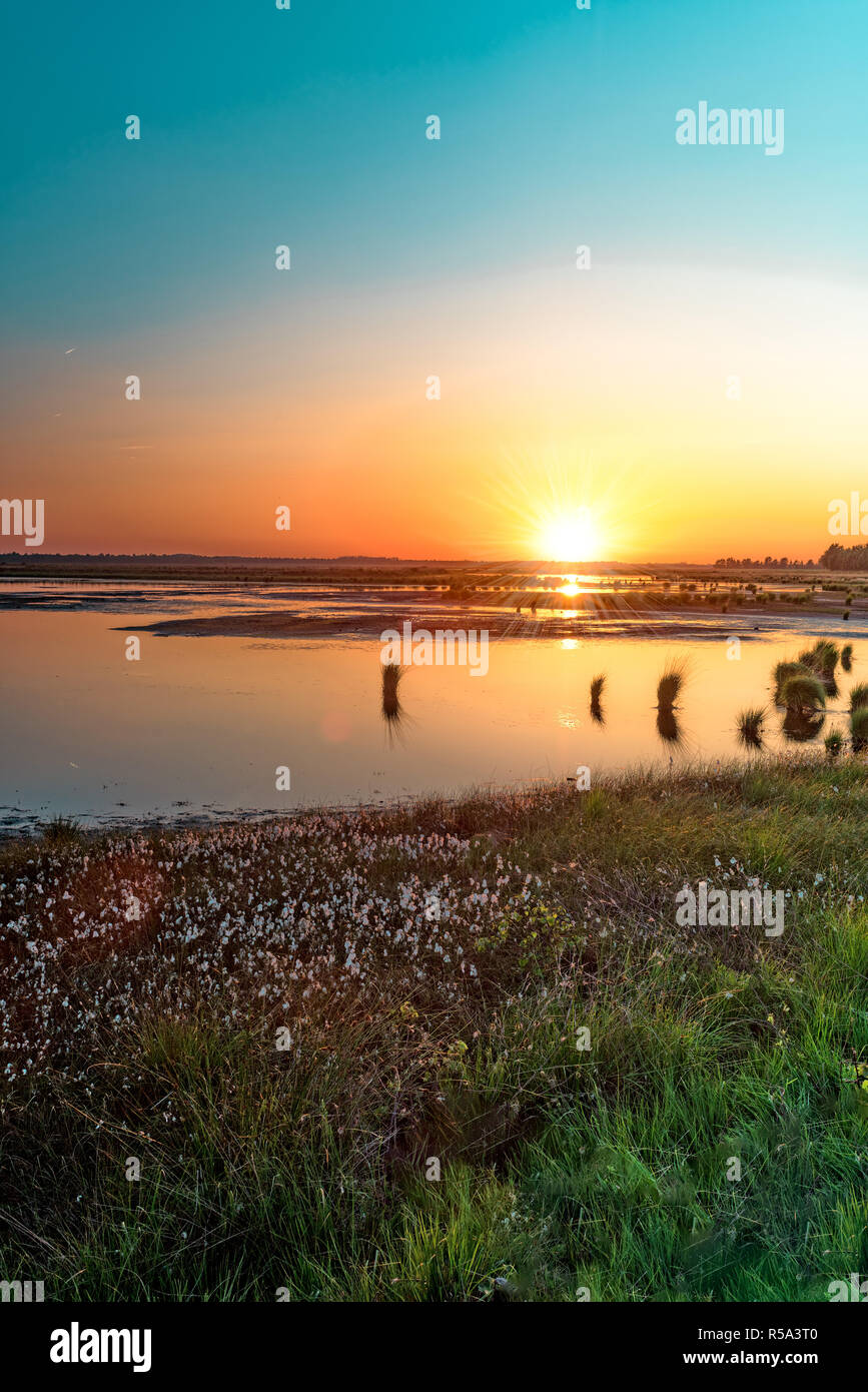 north german moor area Stock Photo - Alamy