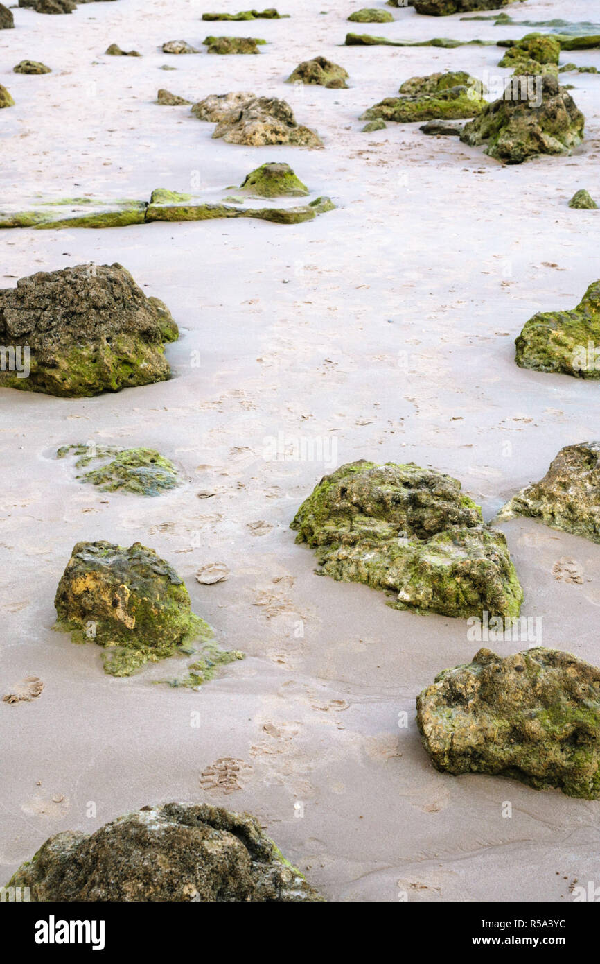 limestone rocks in sand on beach of Atlantic Ocean Stock Photo - Alamy