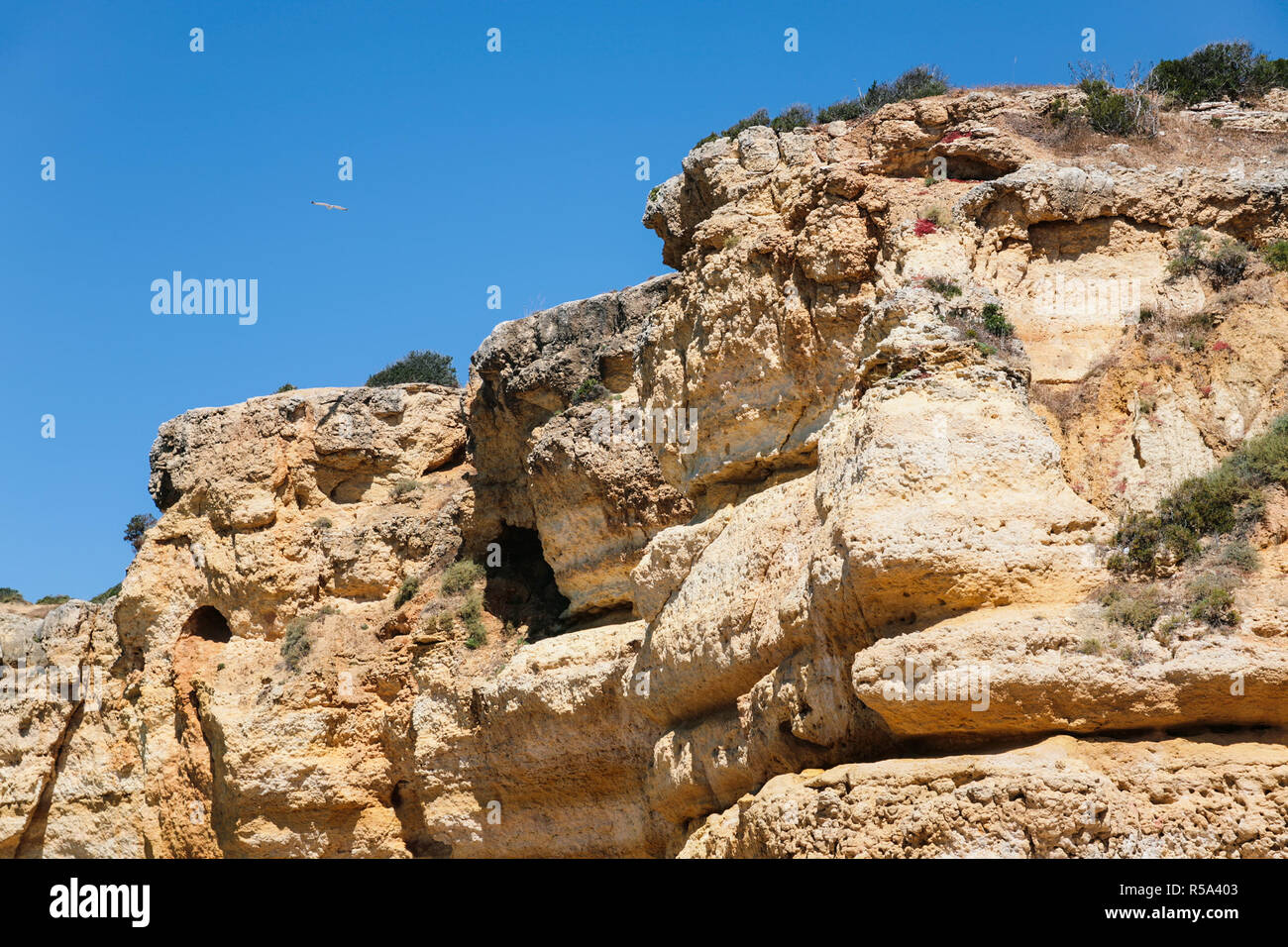 eroded sandstone rock on beach of Atlantic ocean Stock Photo - Alamy