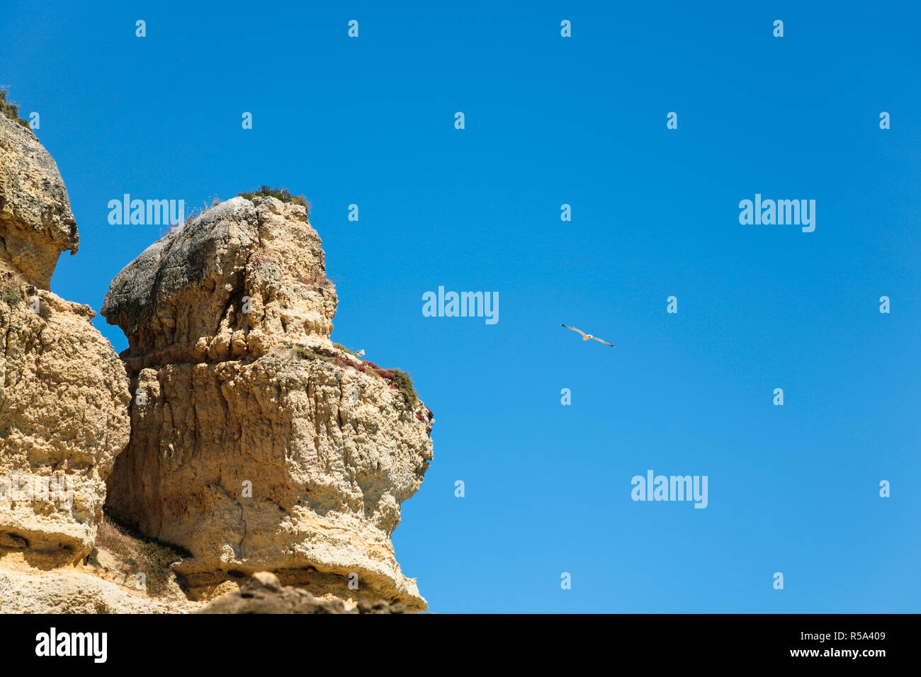 Salt weathering of sandstone hi-res stock photography and images - Alamy