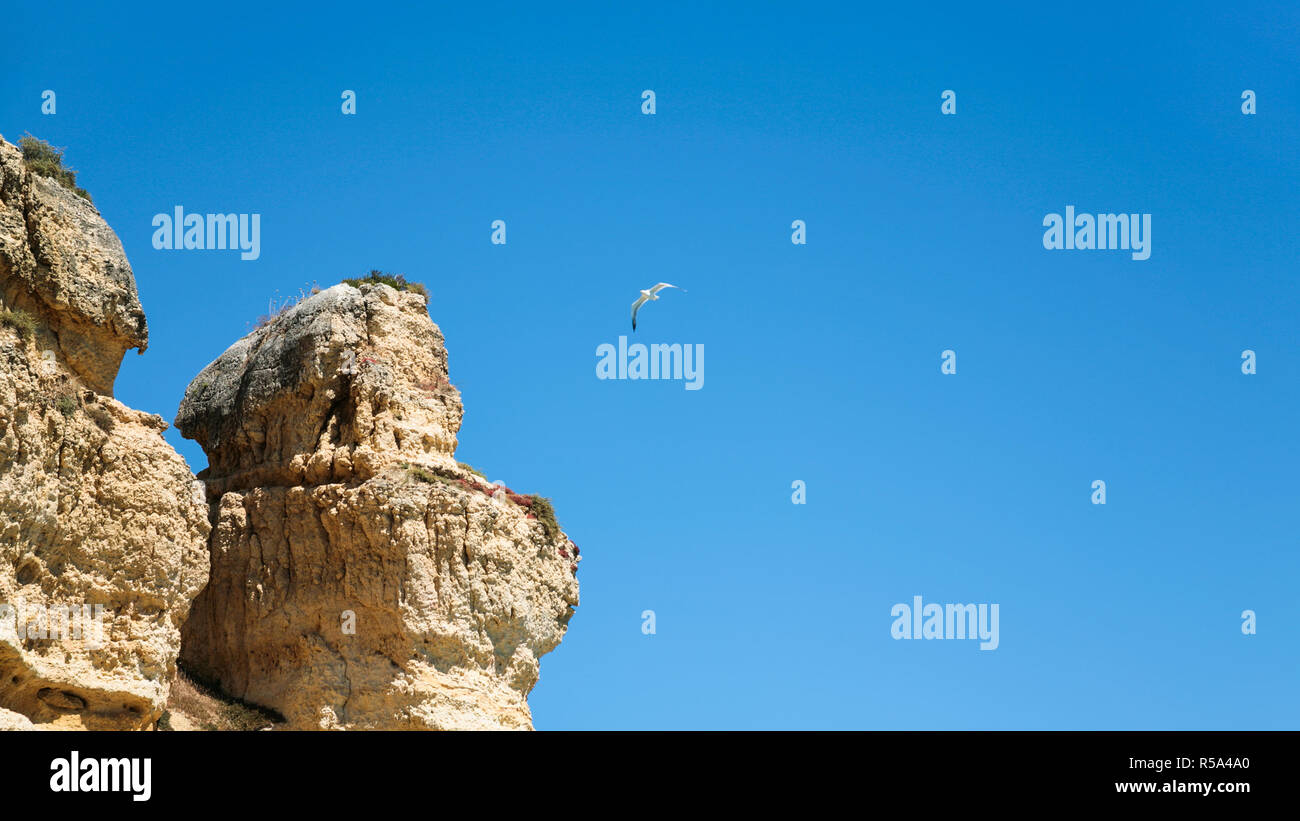 Salt weathering of sandstone hi-res stock photography and images - Alamy