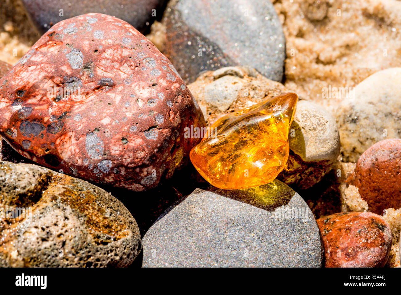 amber on the baltic sea beach Stock Photo - Alamy