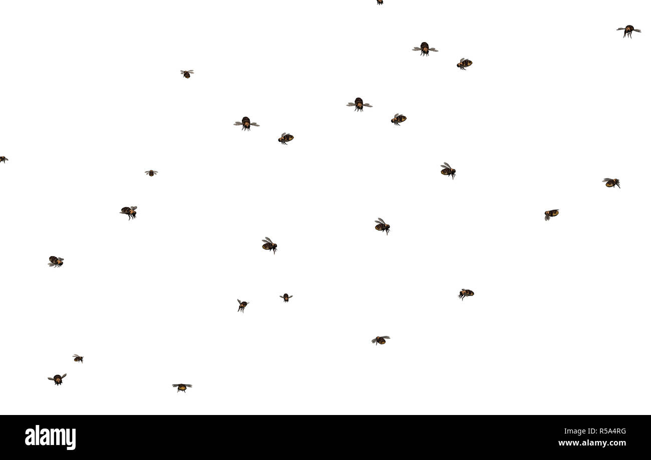 Cartoon Swarm Of Flies