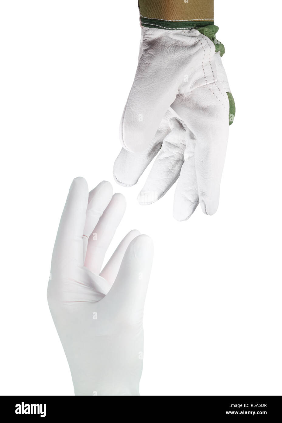 hands with gloves,isolated Stock Photo - Alamy