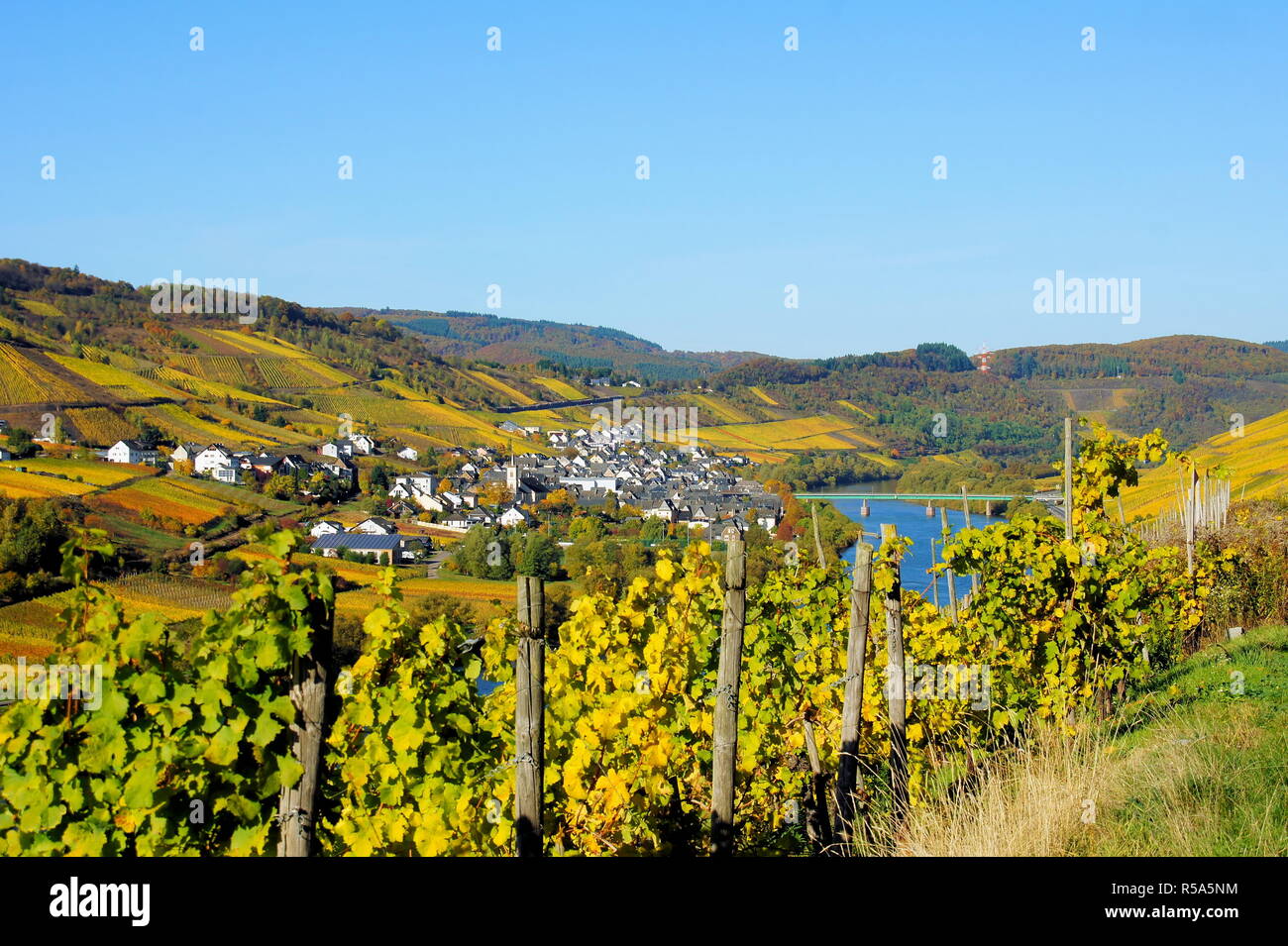 Reil Stock Photos & Reil Stock Images - Alamy