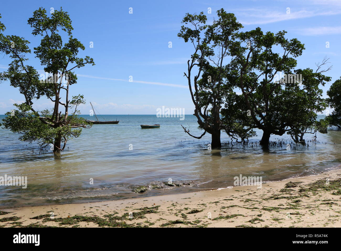 zanzibar - beach with mangroves and fishing boats at the mbweni ruins ...
