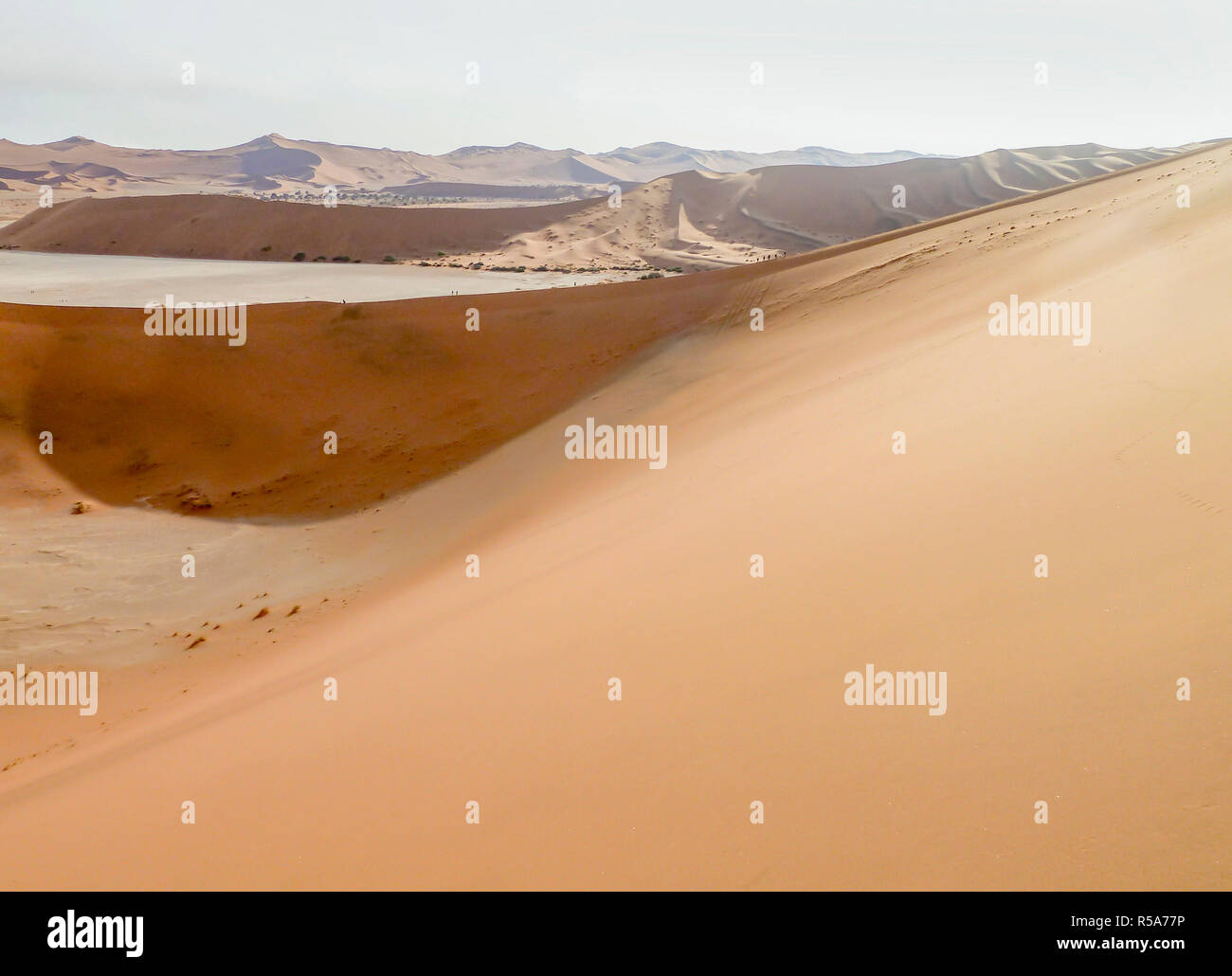 namib desert in namibia Stock Photo - Alamy