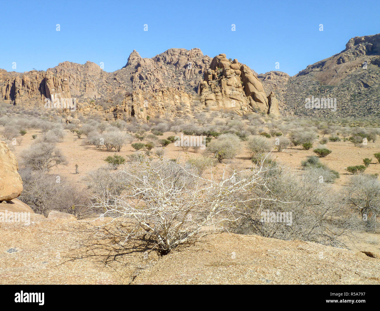 landscape in namibia Stock Photo - Alamy