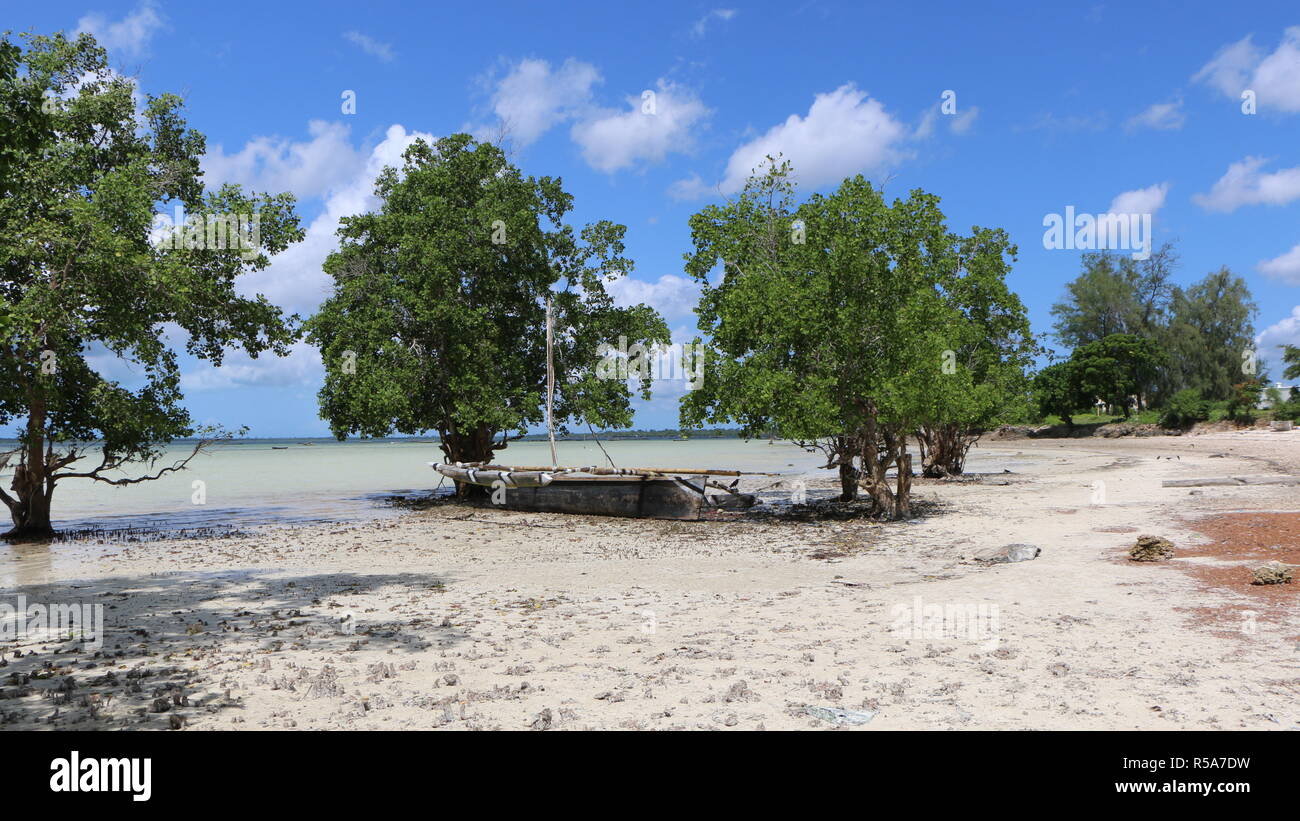 zanzibar - beach with fishing boat and mangroves at chwaka bay Stock ...