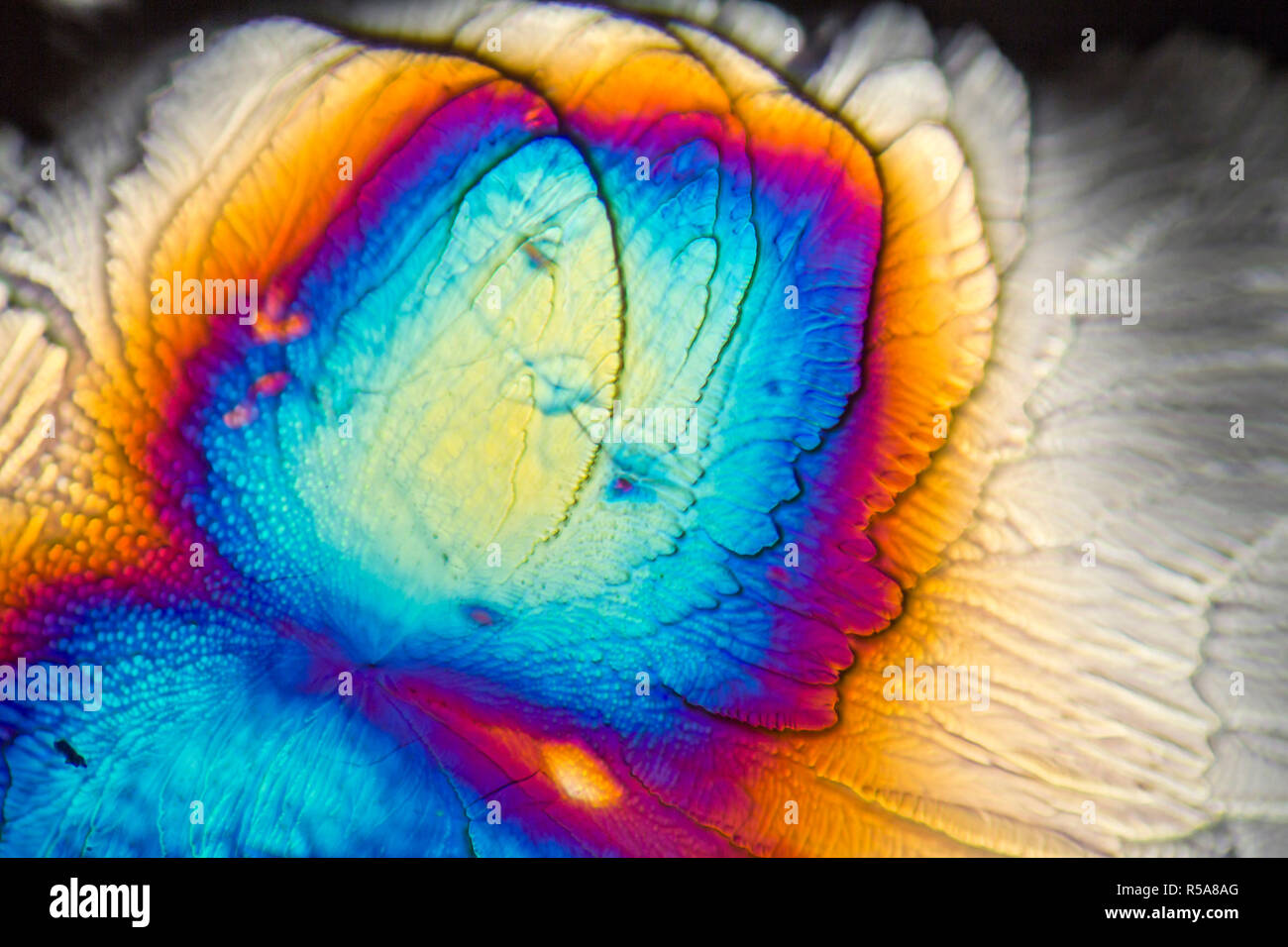 microscopic galactose crystals Stock Photo - Alamy