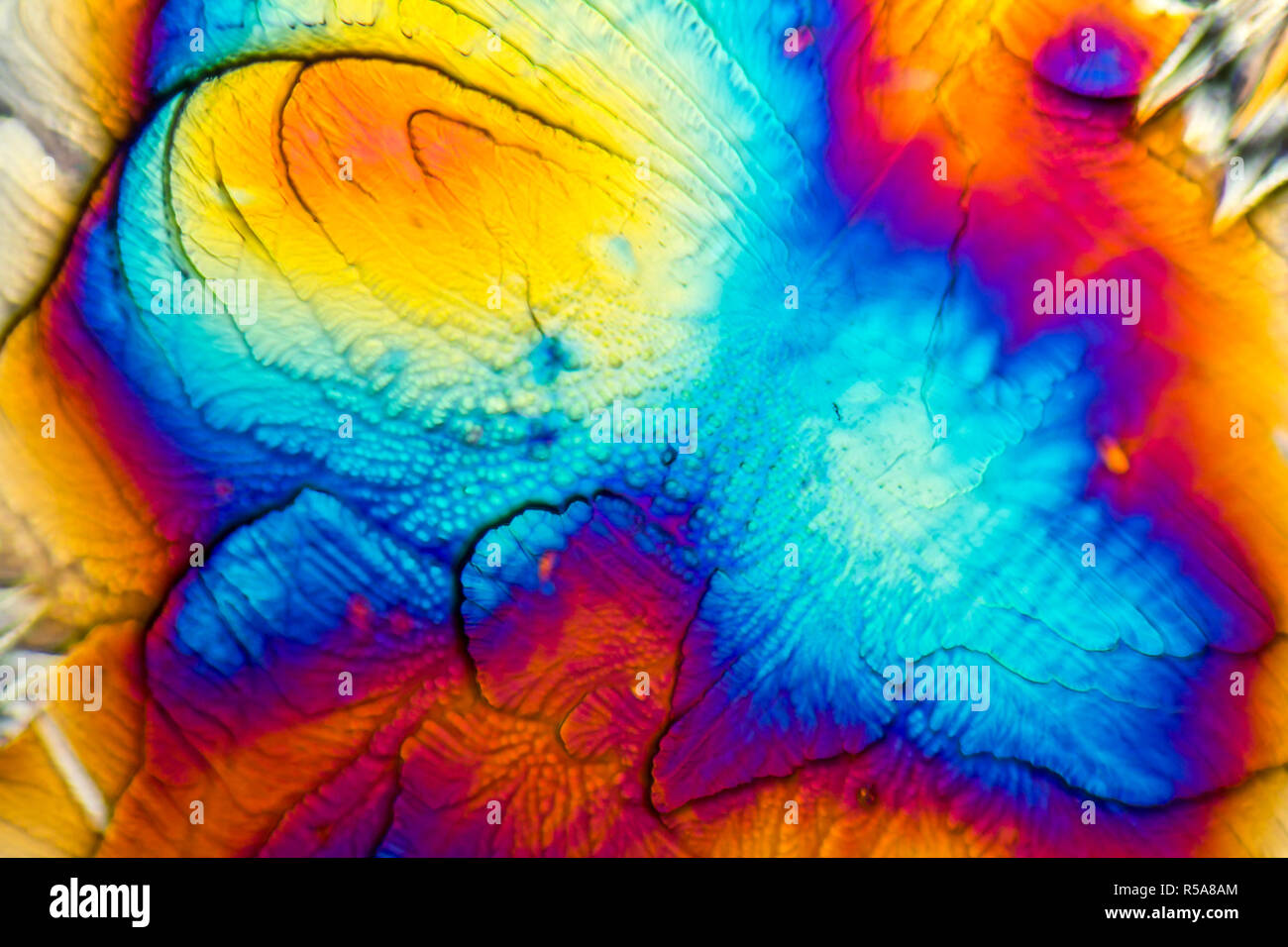 microscopic galactose crystals Stock Photo - Alamy