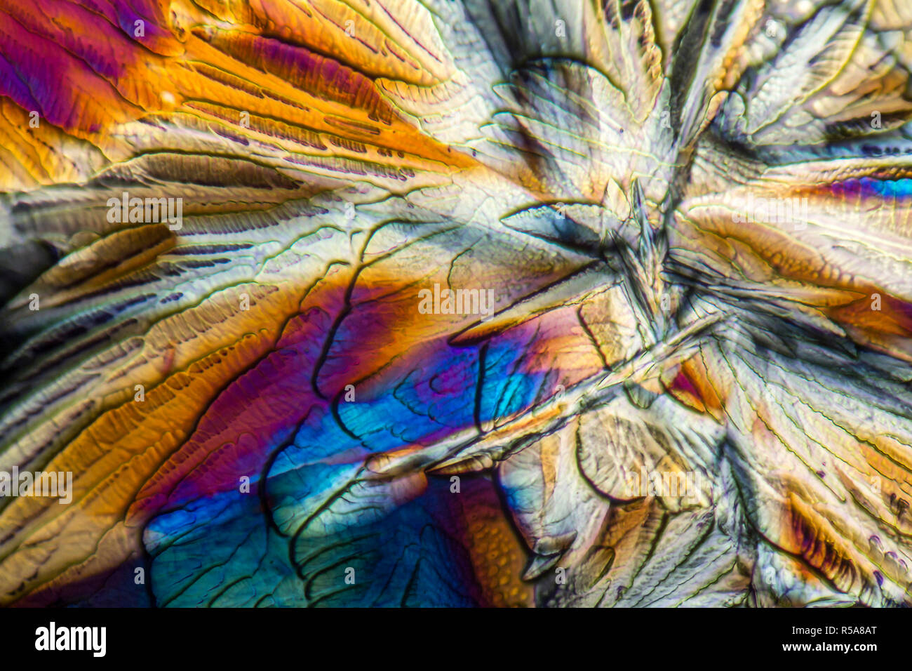 microscopic galactose crystals Stock Photo - Alamy