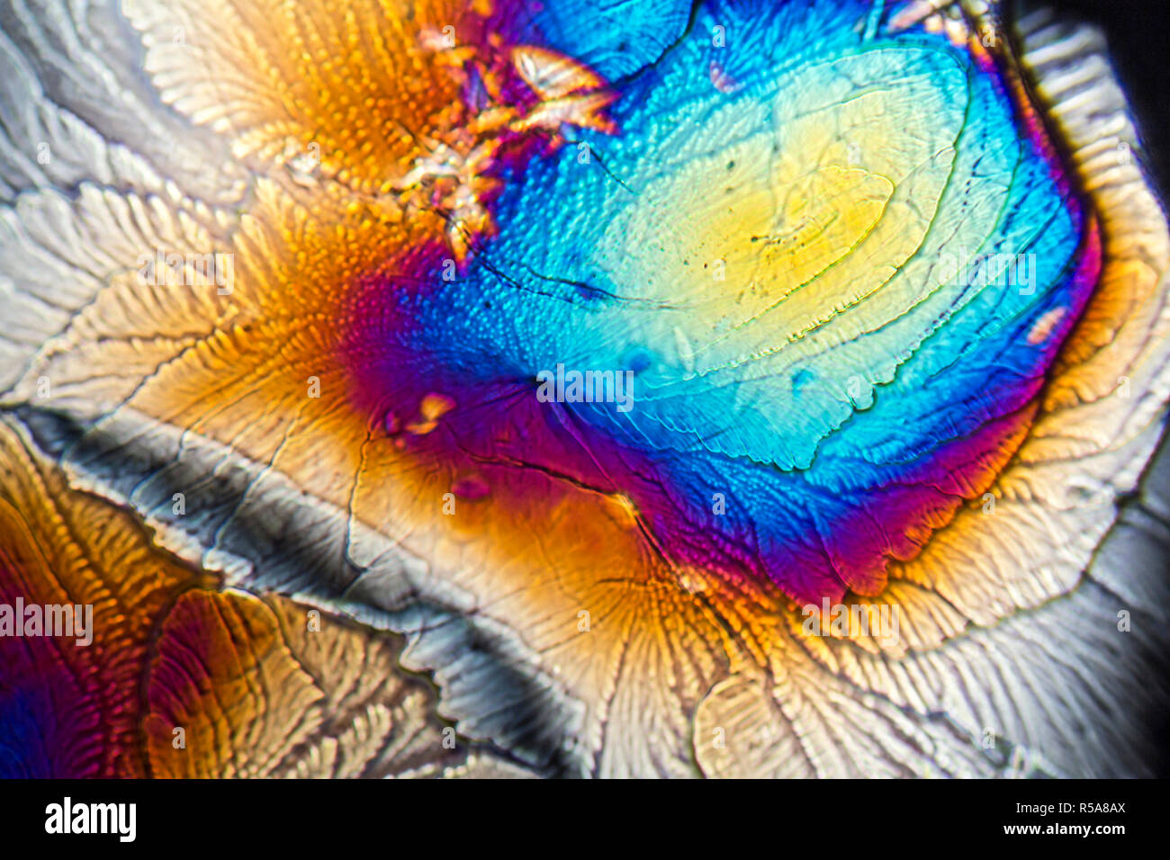 microscopic galactose crystals Stock Photo - Alamy