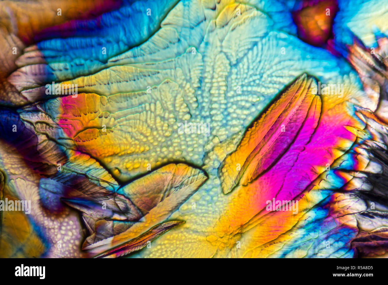 microscopic galactose crystals Stock Photo - Alamy