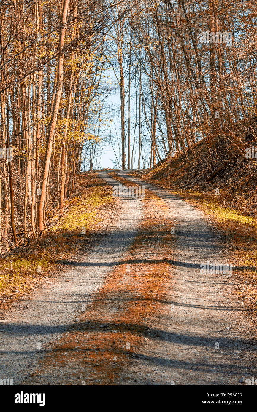 idyllic forest and field path Stock Photo - Alamy
