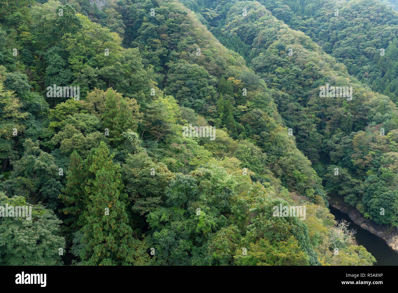 Ryujin hi-res stock photography and images - Alamy