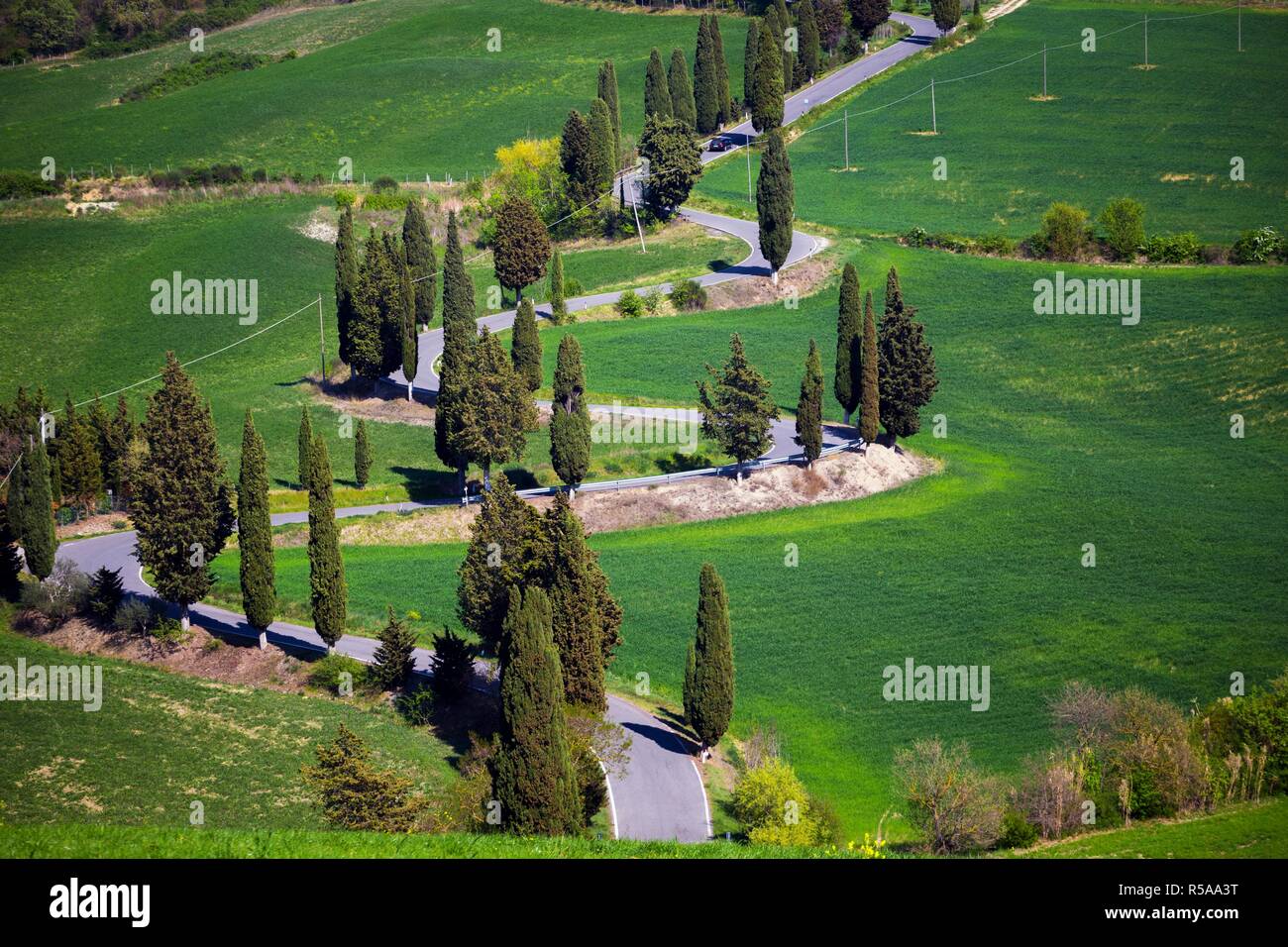 famous winding road at the Siena region. italy, tuscany Stock Photo - Alamy