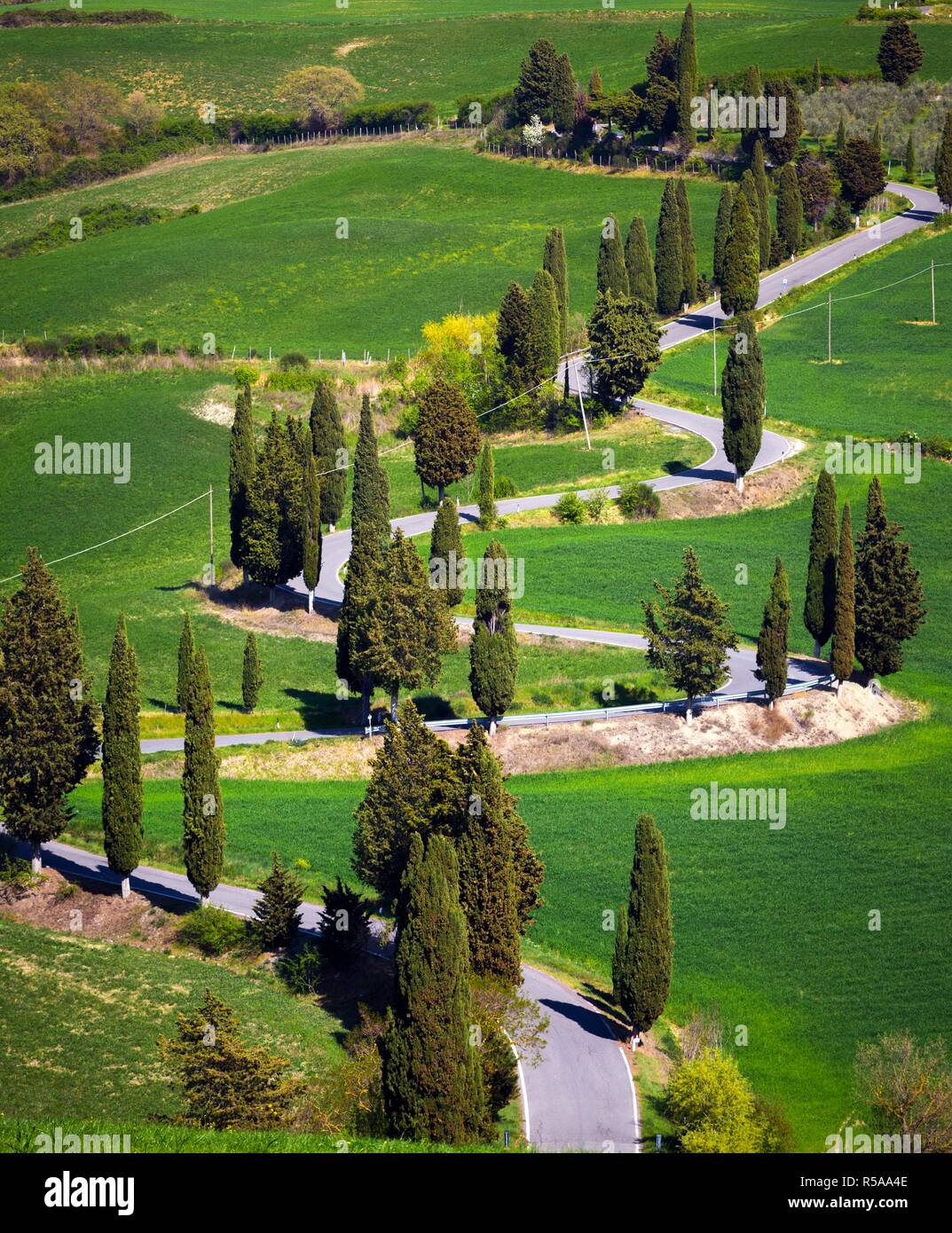 famous winding road at the Siena region. italy, tuscany Stock Photo - Alamy