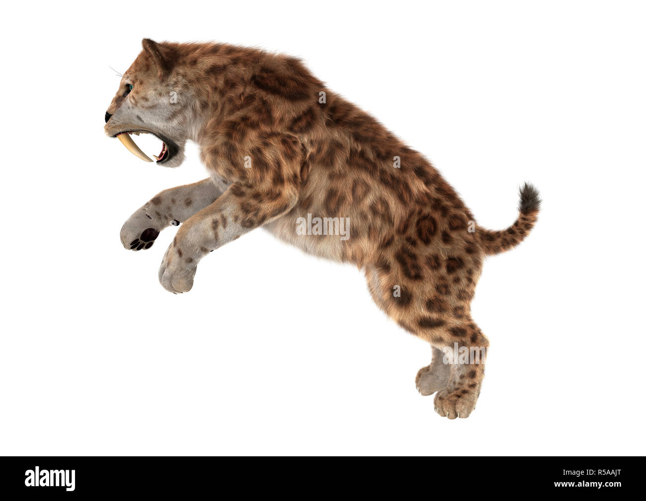 Saber tooth tiger hunting hi-res stock photography and images - Alamy