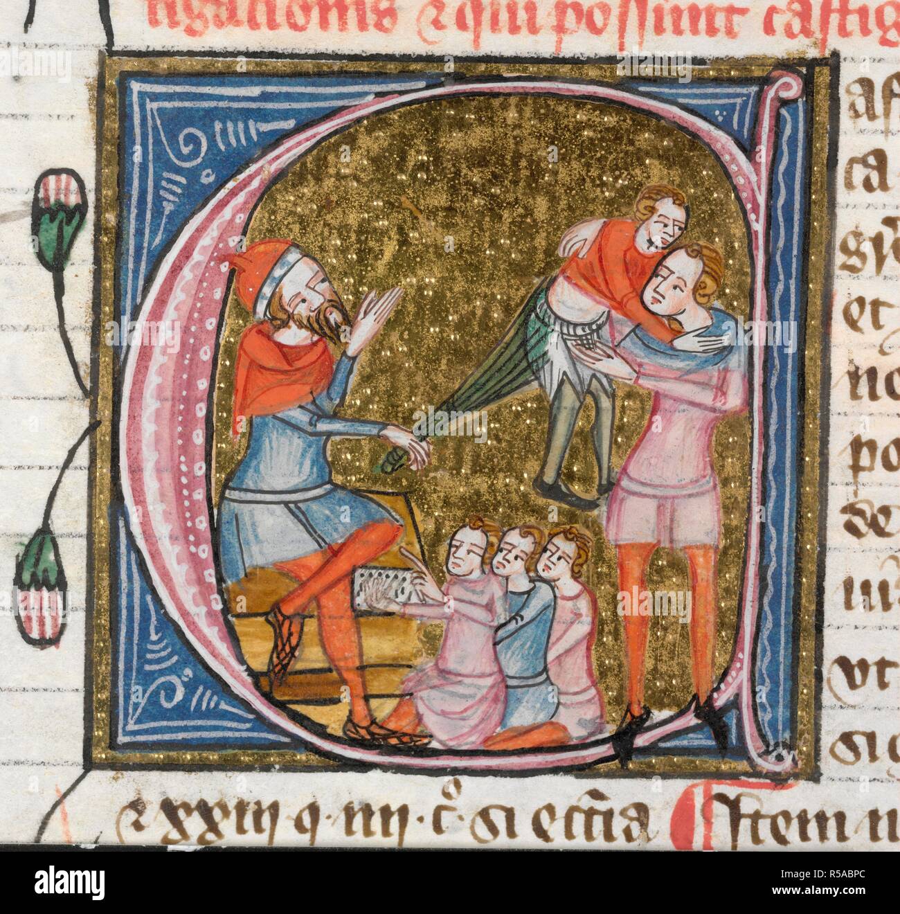 Birched hi-res stock photography and images - Alamy