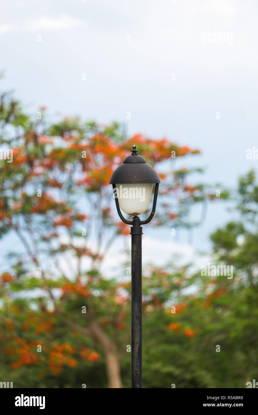 Cafe luminary hi-res stock photography and images - Alamy