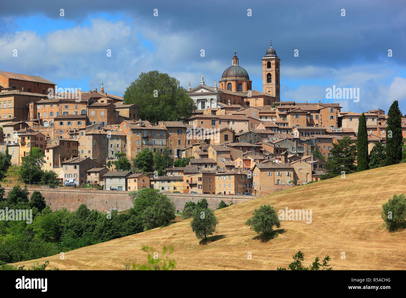 Urbino cathedral hi-res stock photography and images - Alamy