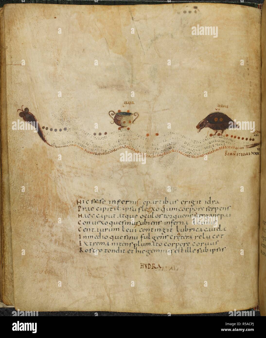 Illustration of the constellation Hydra. Aratea, with extracts from ...
