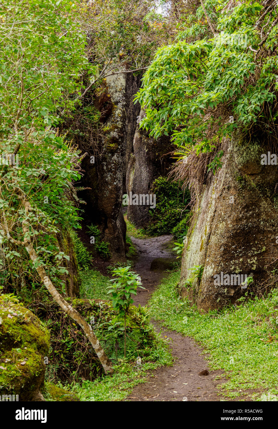 Rocky labyrinth hi-res stock photography and images - Alamy