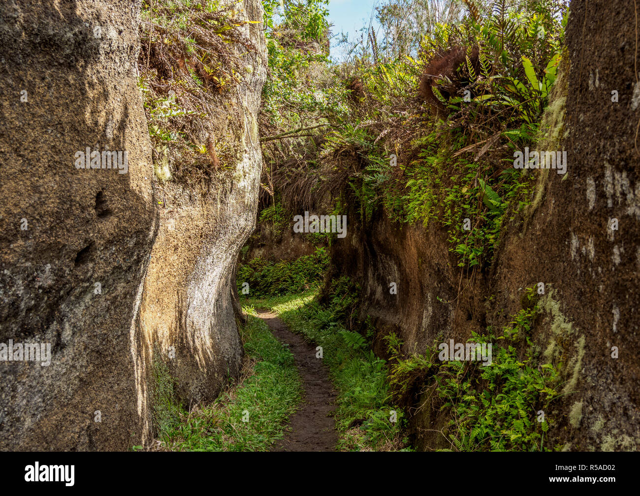Rocky labyrinth hi-res stock photography and images - Alamy
