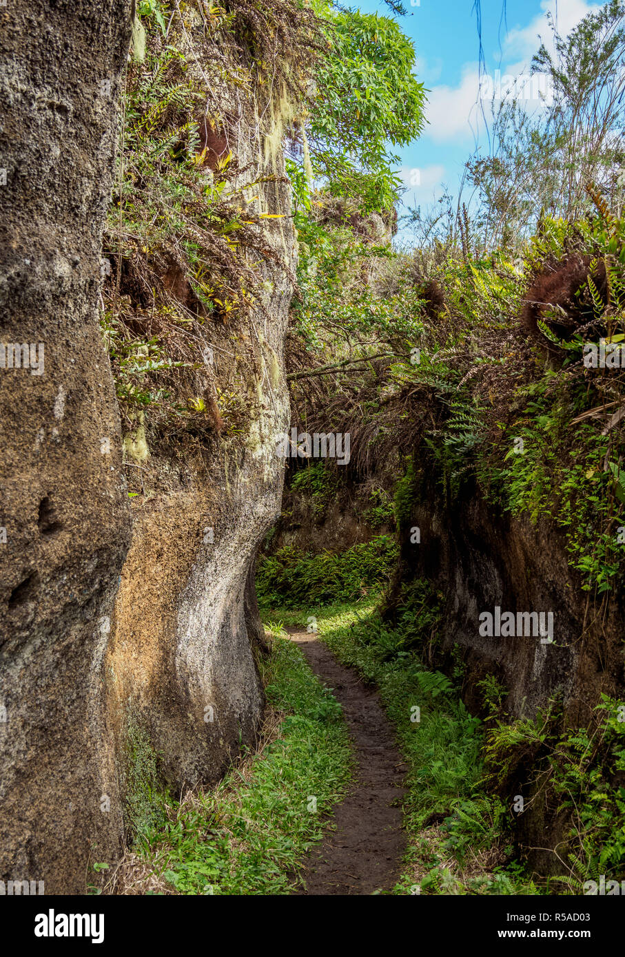 Rocky labyrinth hi-res stock photography and images - Alamy