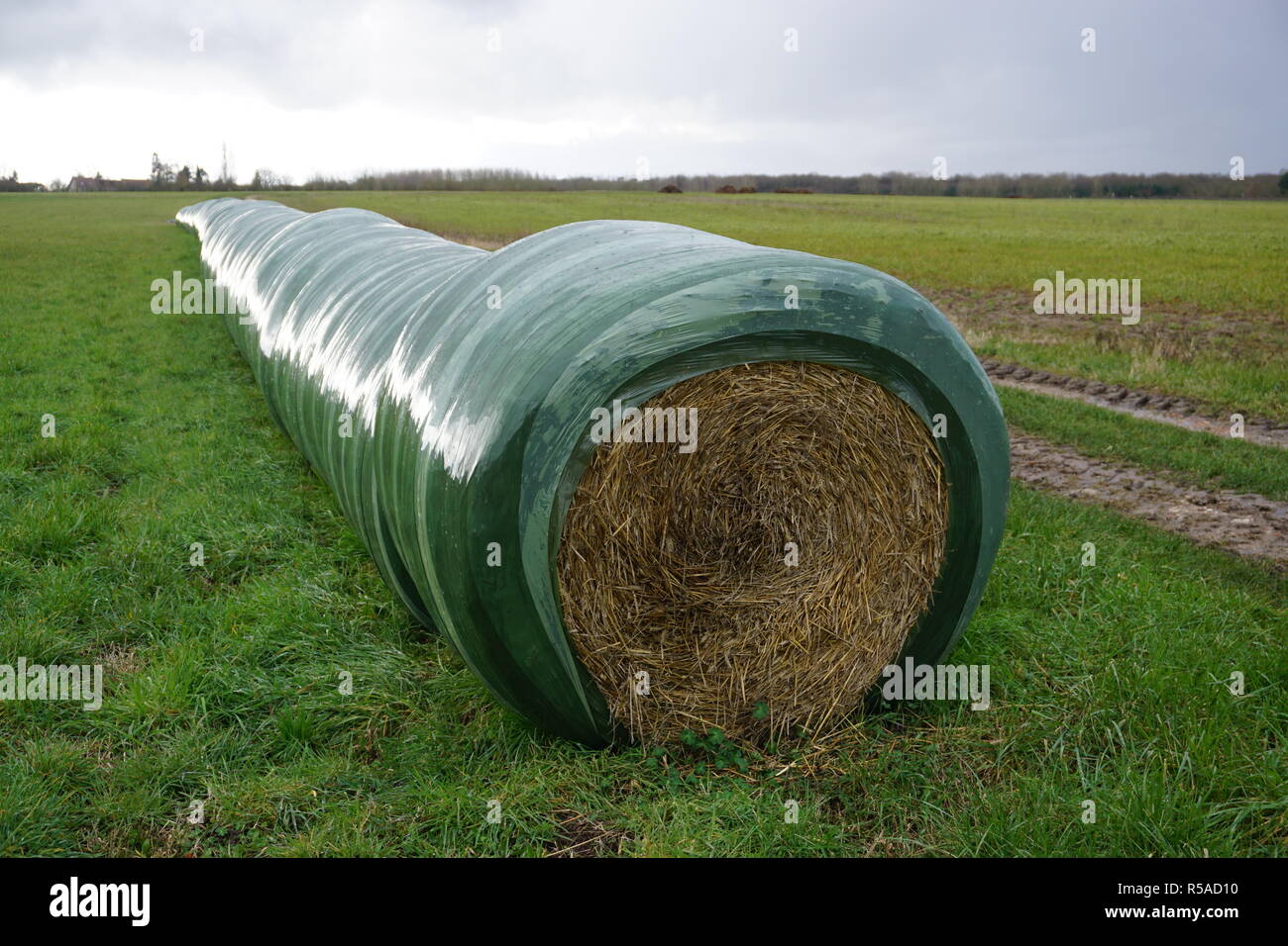 Plastic cover hi-res stock photography and images - Alamy
