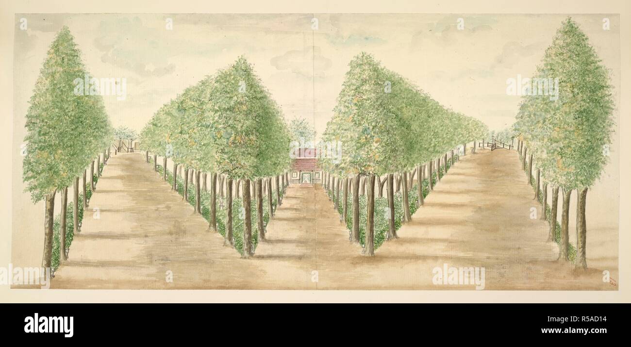 Album of 62 drawings of landscapes and plantation hi-res stock ...