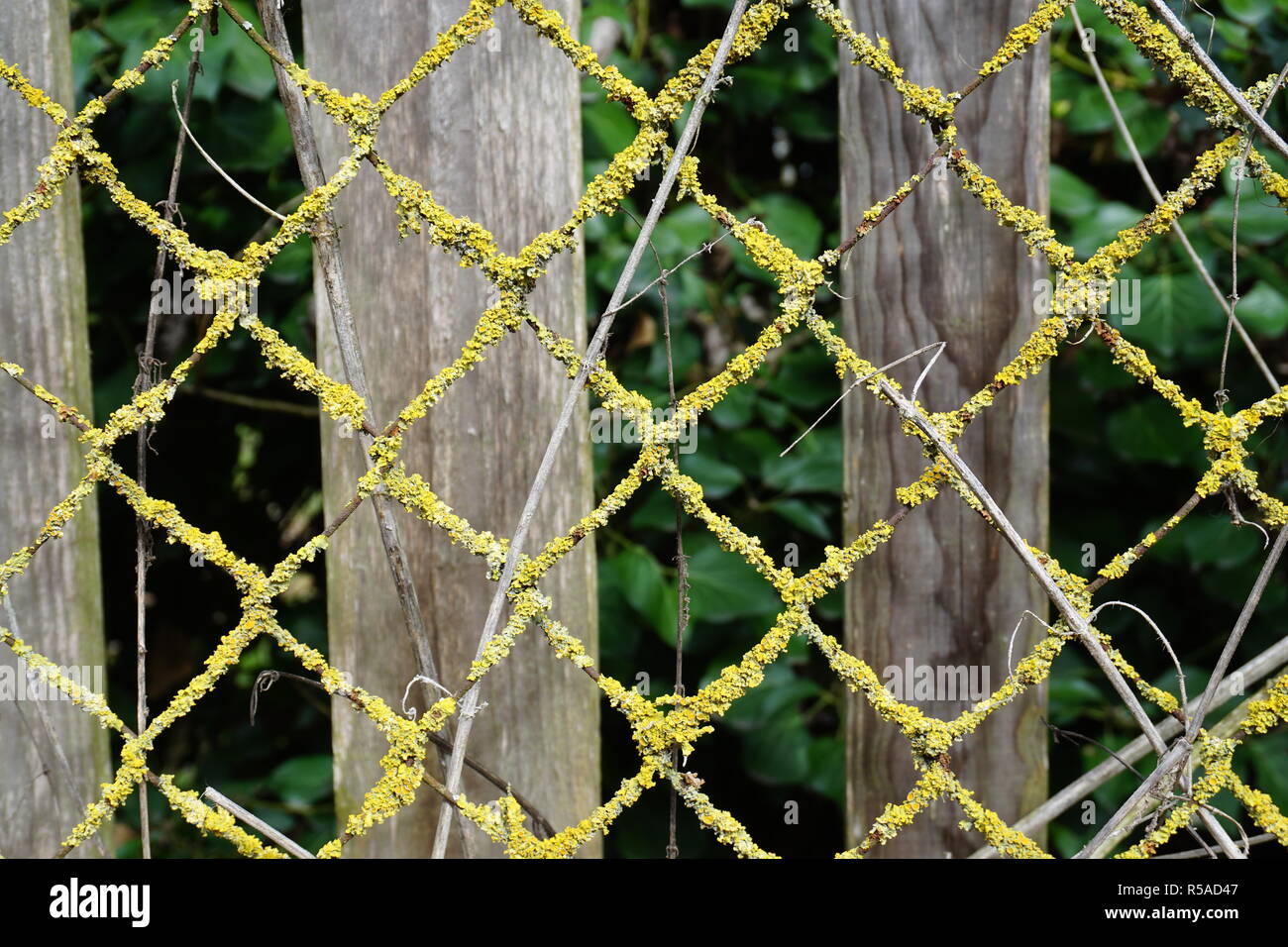 Metal twigs hi-res stock photography and images - Alamy