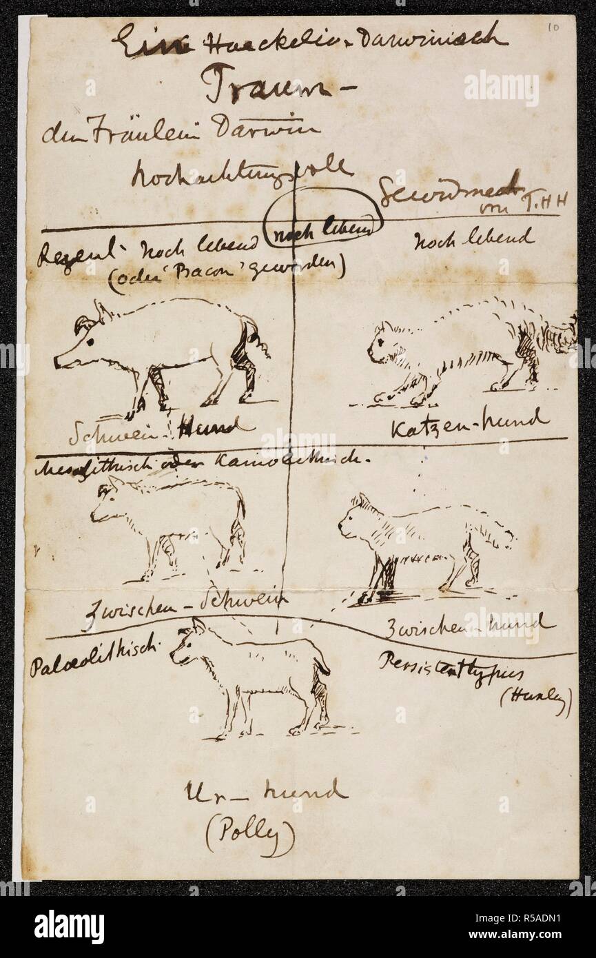 Cornford hi-res stock photography and images - Alamy