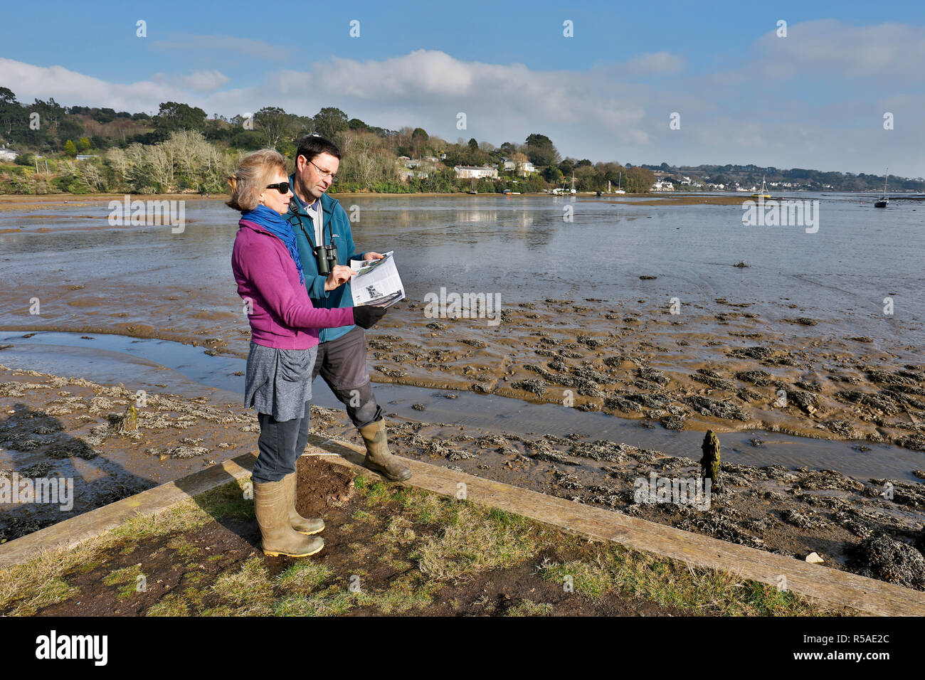 Devoran Cornwall High Resolution Stock Photography and Images - Alamy