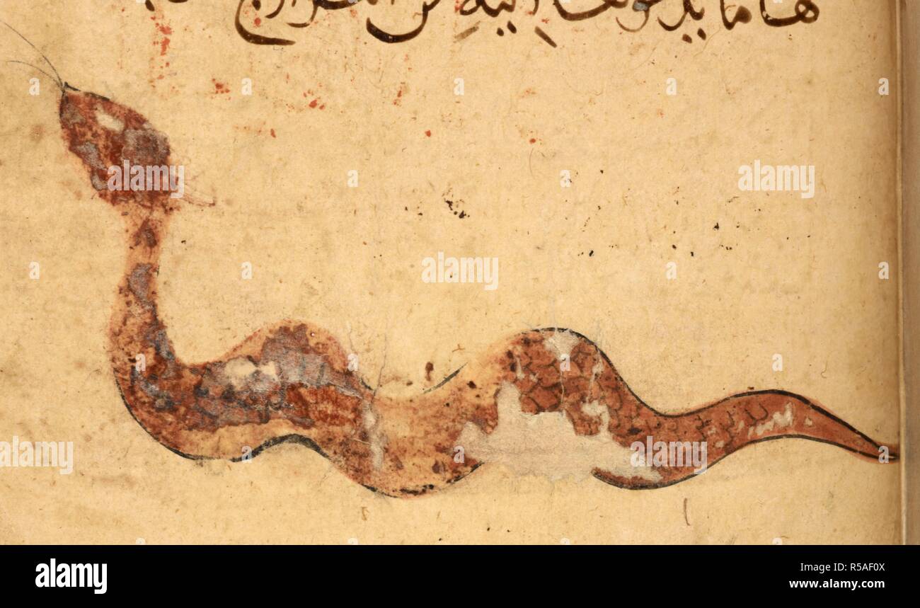 Kitab al hayawan hi-res stock photography and images - Alamy